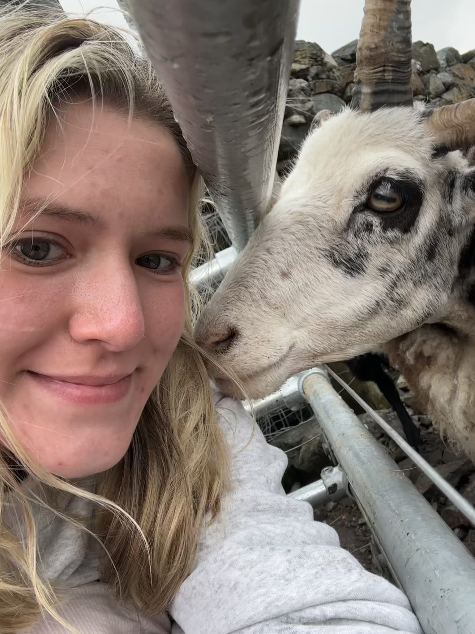 Zoe Bertram: Ireland Week 3 (An exhausting but exciting weekend ...