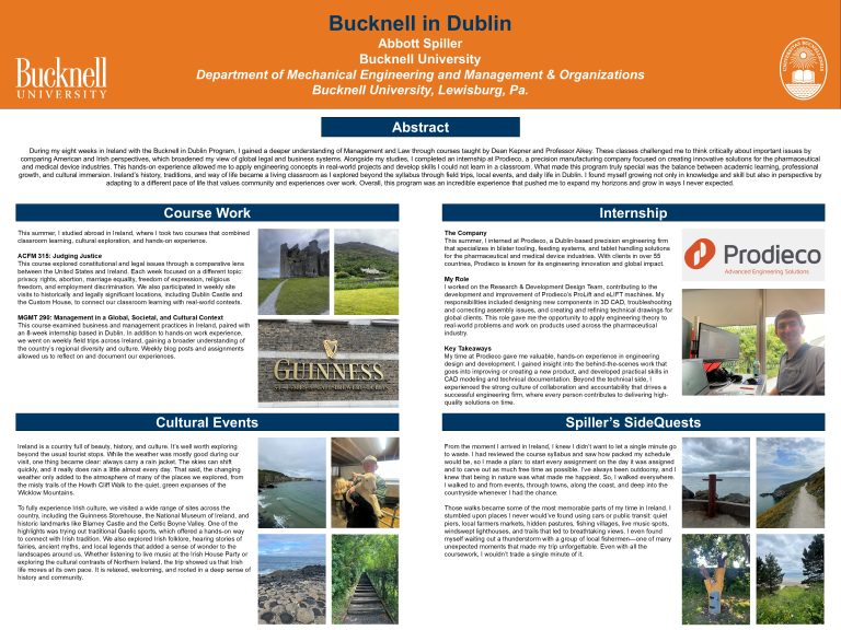 Bucknell in Dublin Poster « Management in a Global, Societal and ...