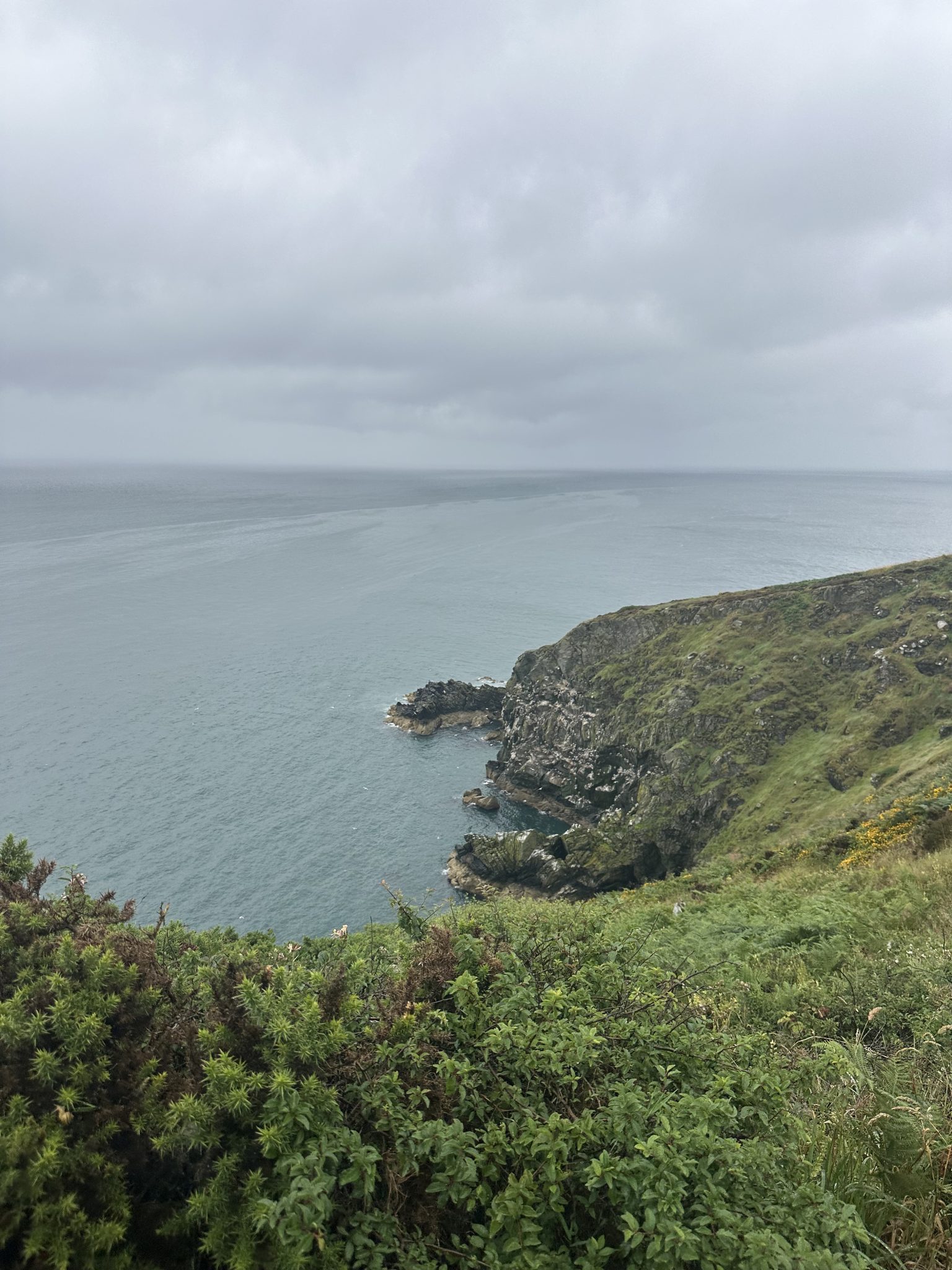 Nathaniel Falcon – Ireland Week 7: The Irish Impulse Shopping Affect ...