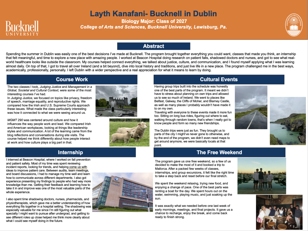 Layth Kanafani- Final Poster « Management in a Global, Societal and ...